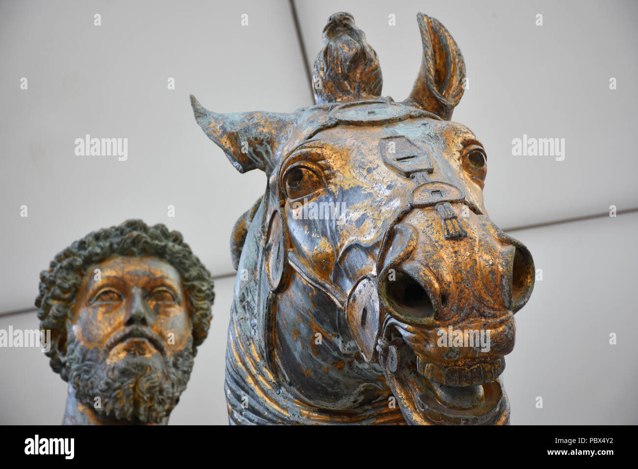 Rome, equestrian statue of Marcus Aurelius, details, in the palace of ...