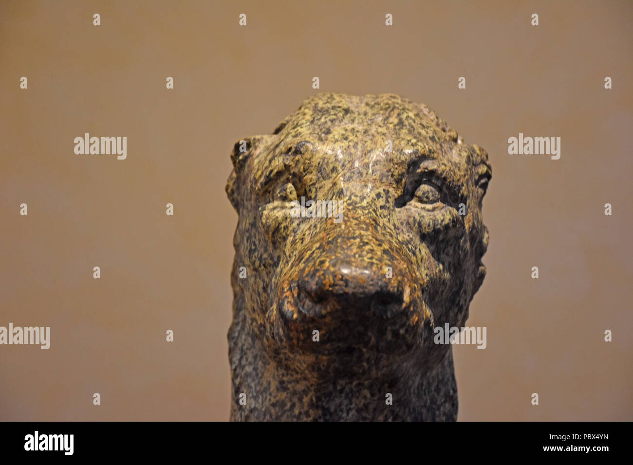 Rome, ancient Roman sculpture in the halls in the palace of the ...