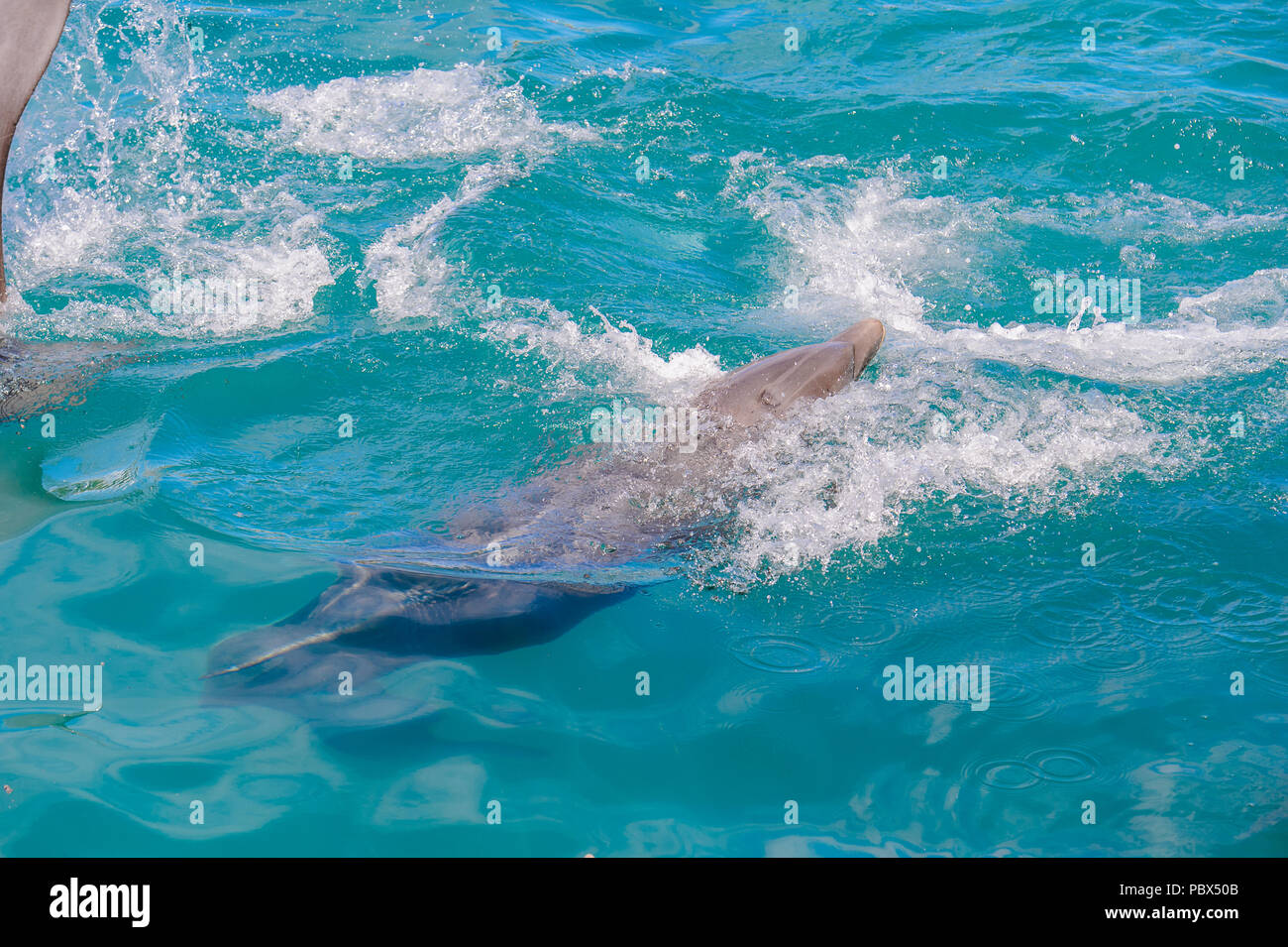 Underwater park cancun hi-res stock photography and images - Alamy