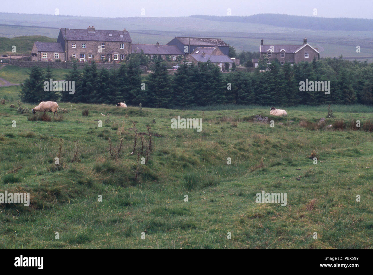 Stone farmhouse on the moors of Northumbria, England. Photograph Stock ...