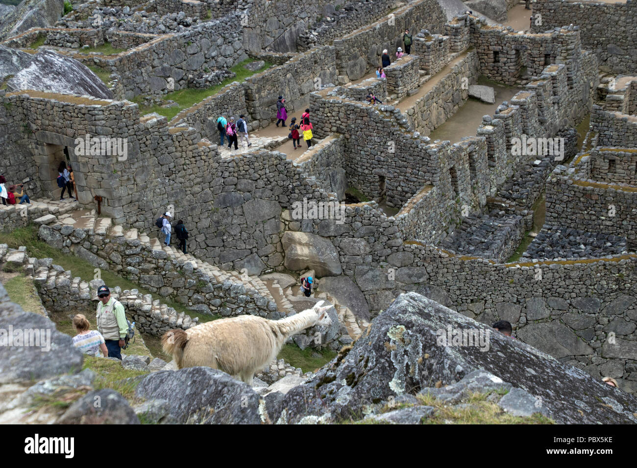 Ancient Inca Ruins at Machu Picchu Stock Photo - Alamy