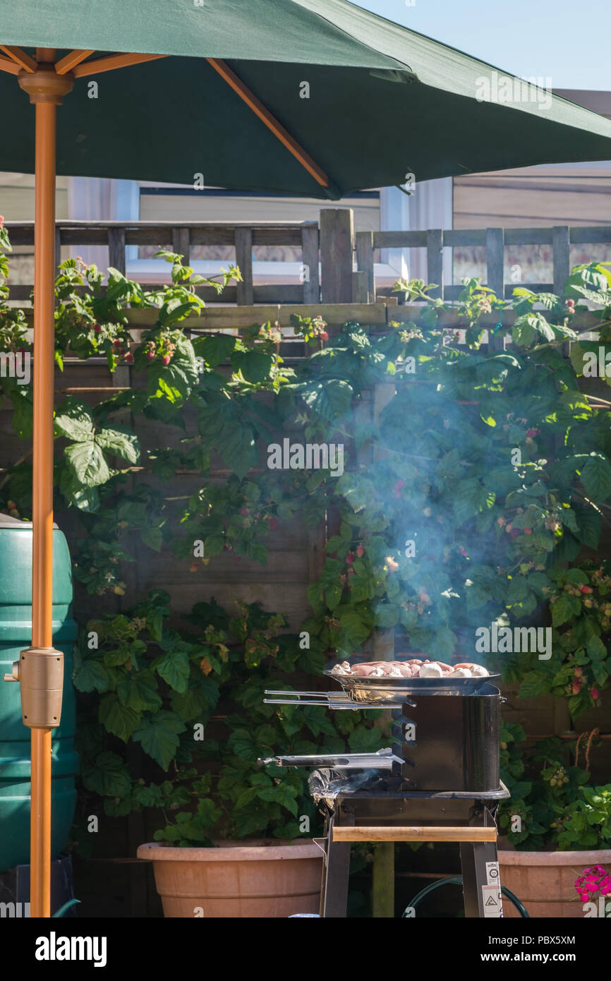 Start cooking bbq at the garden Stock Photo - Alamy