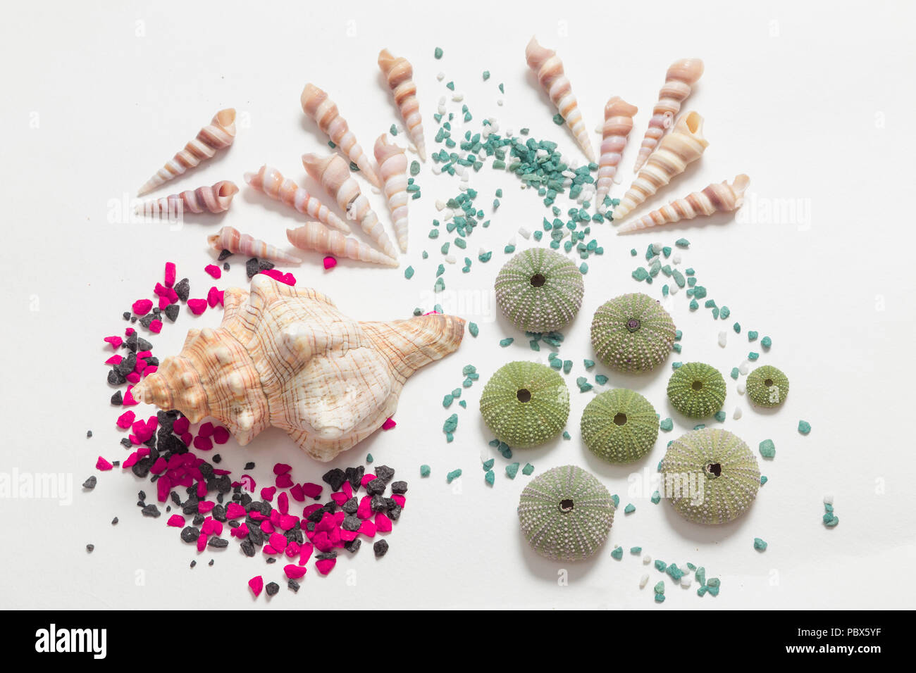 overhead view of a composition on white background with different ...