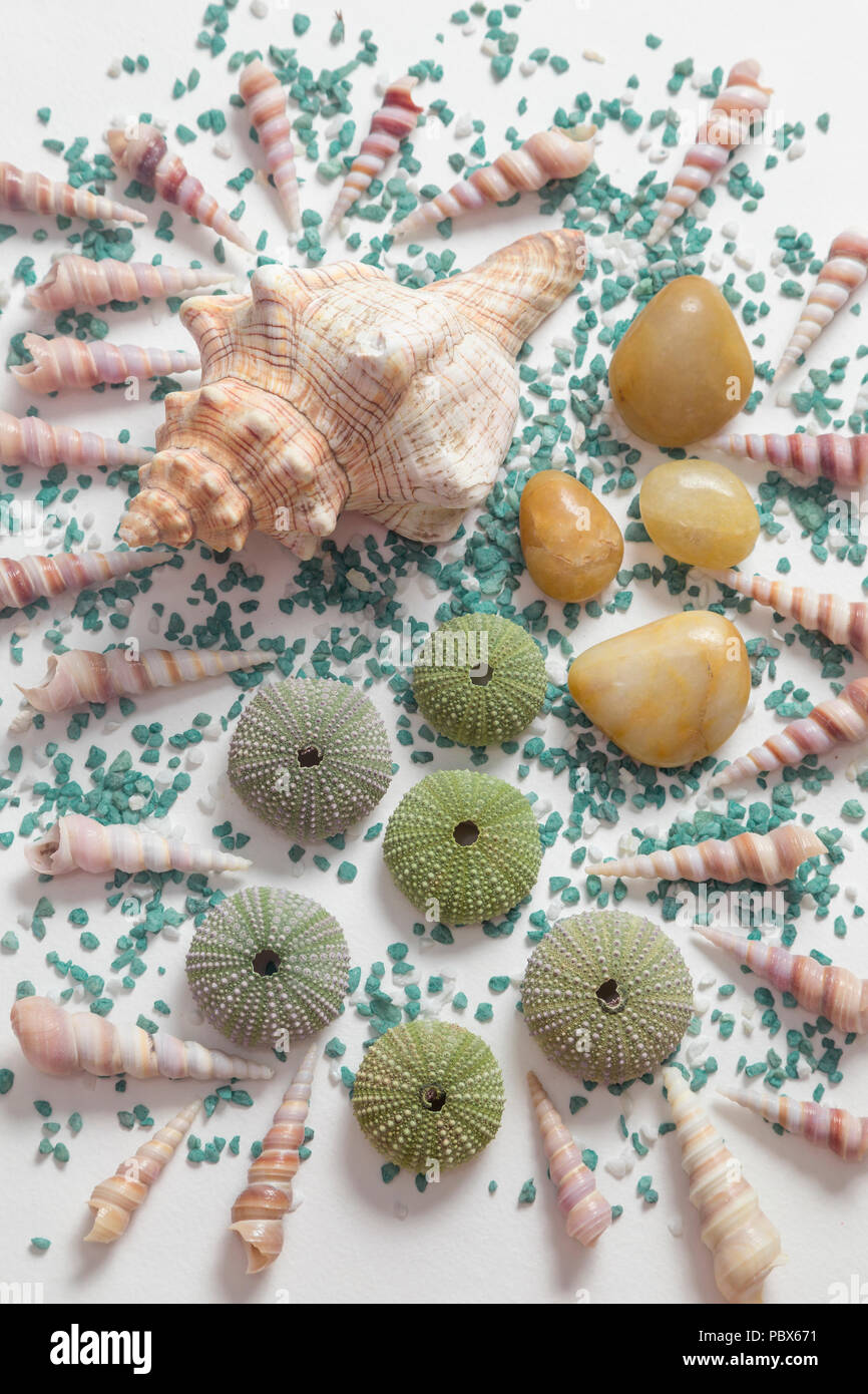 overhead view of a composition on white background with different ...