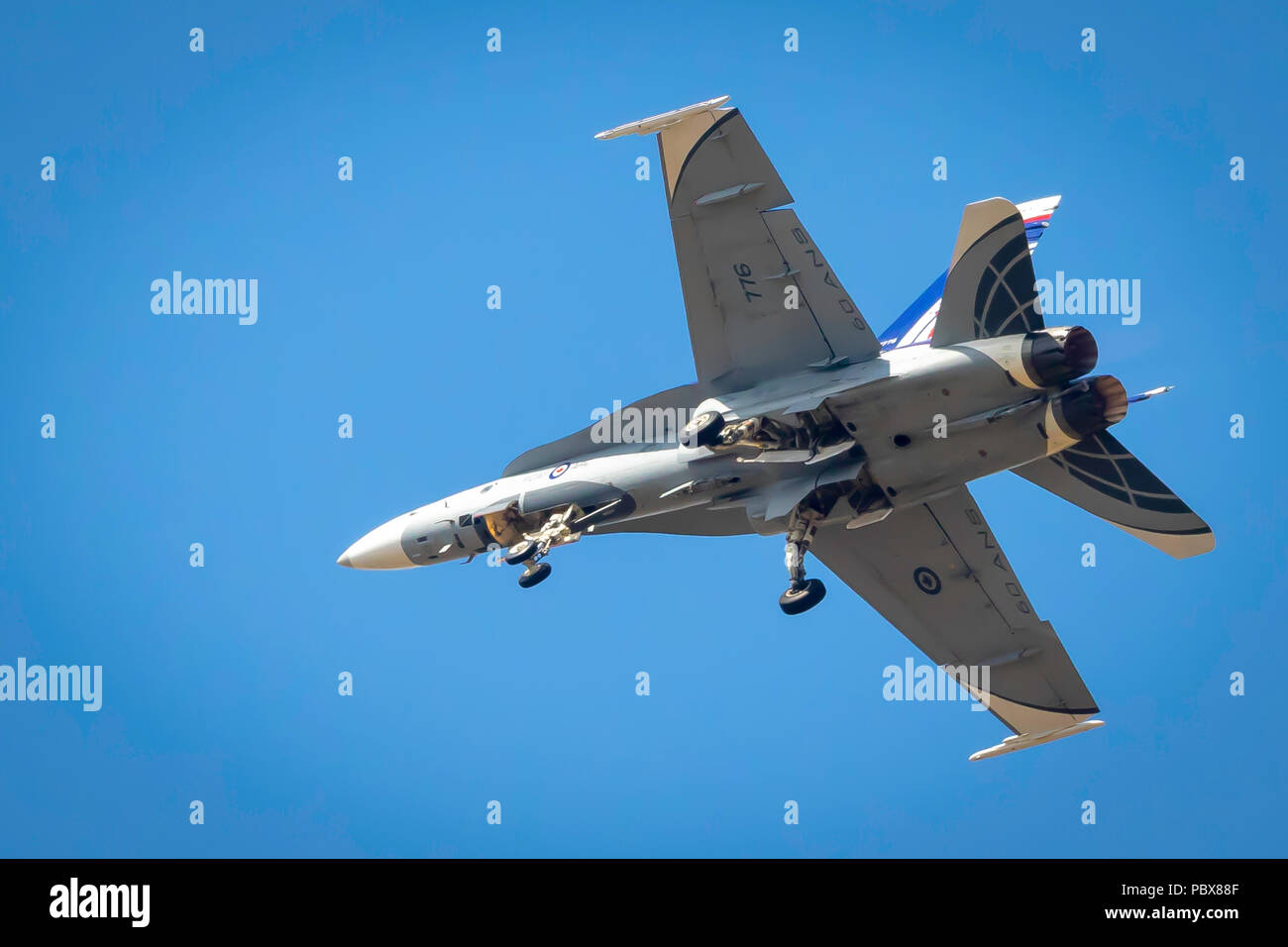 Military f18 hornet display armed forces airplane hi-res stock ...