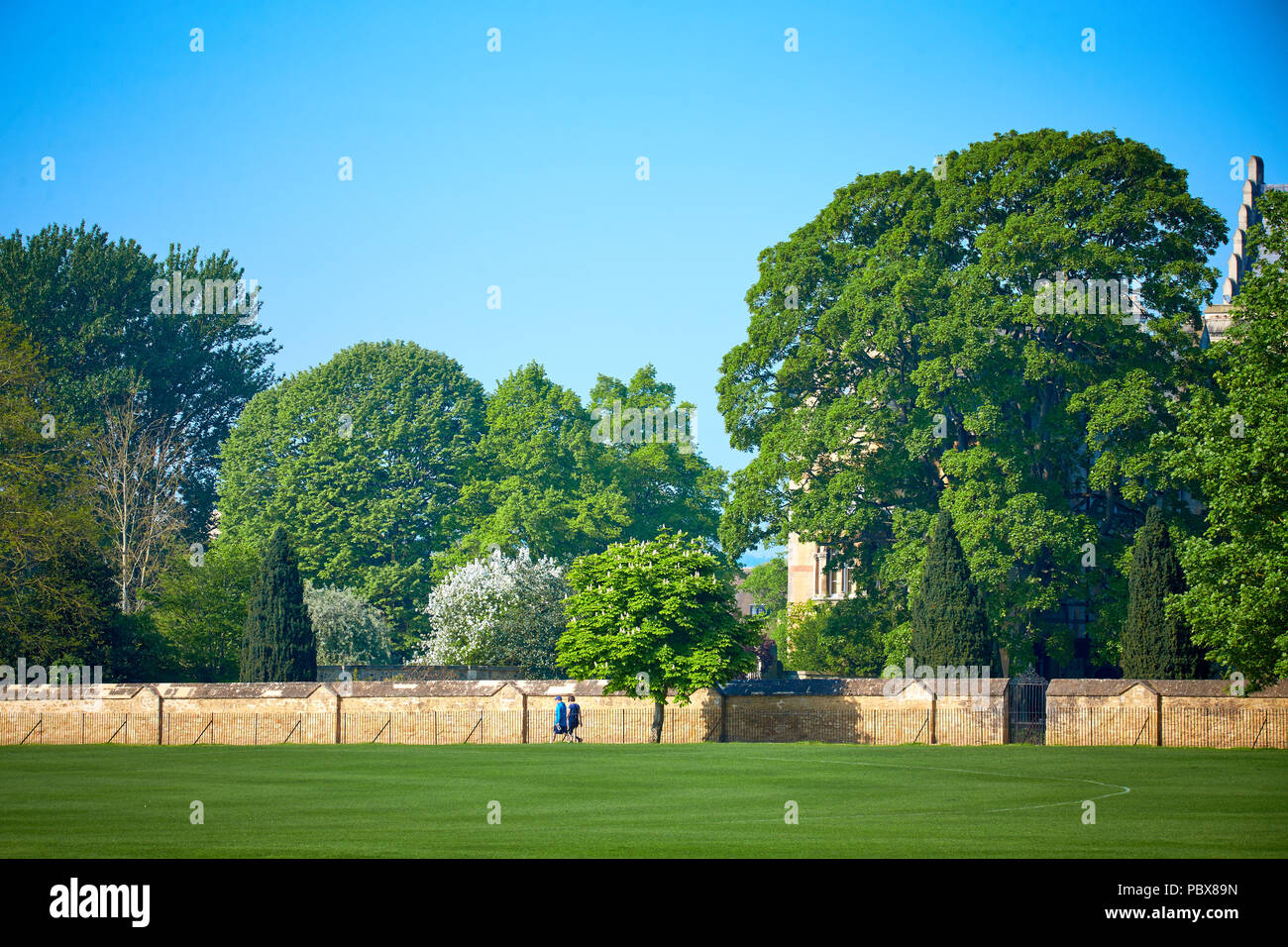 Merton Field, with Christ Church College in the background, in Oxford ...