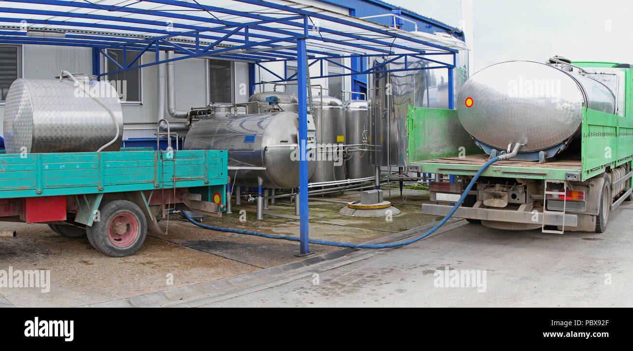 Unloading raw milk from trucks in dairy factory Stock Photo - Alamy