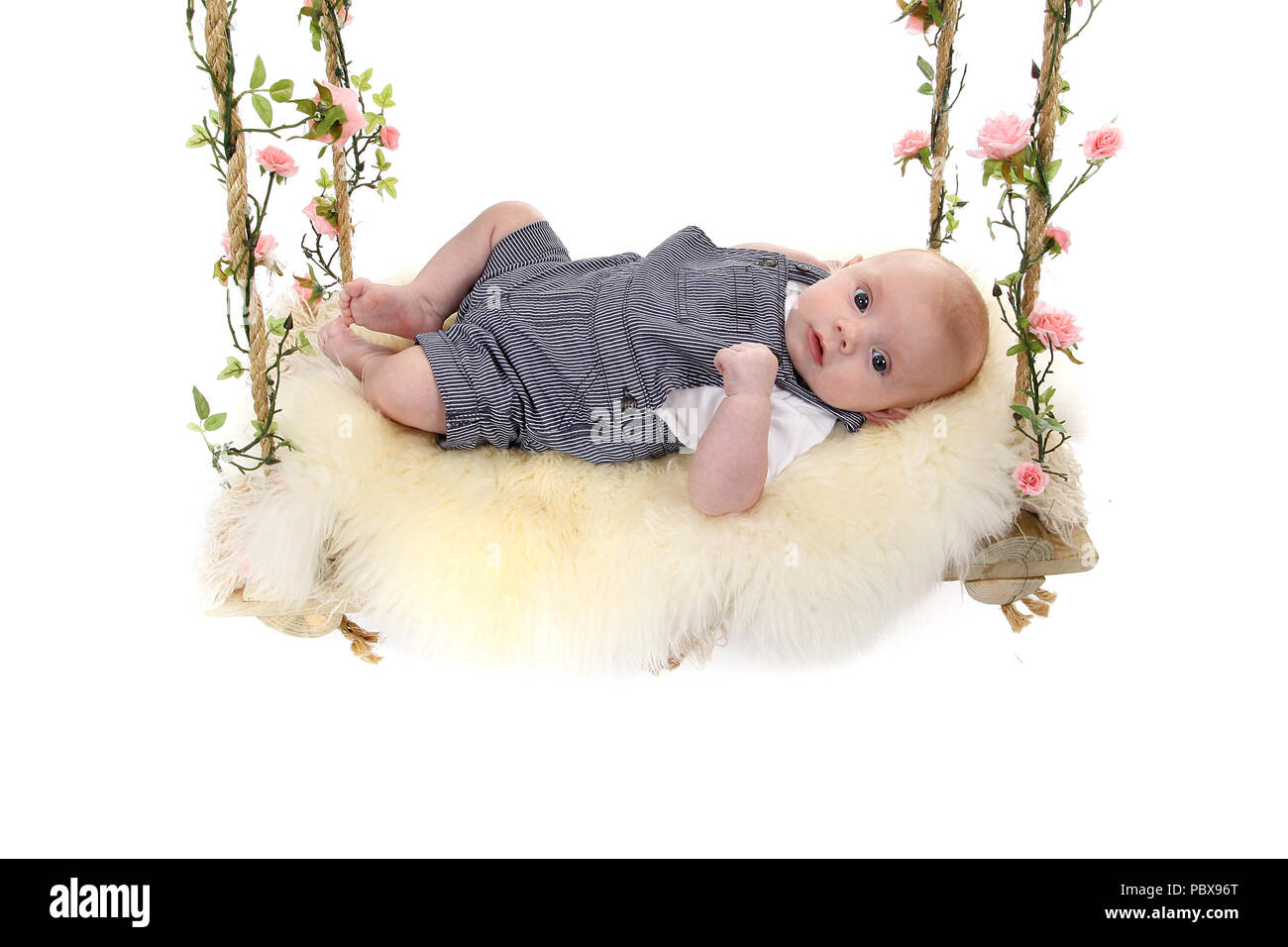 3 month Cut Out Stock Images & Pictures - Alamy