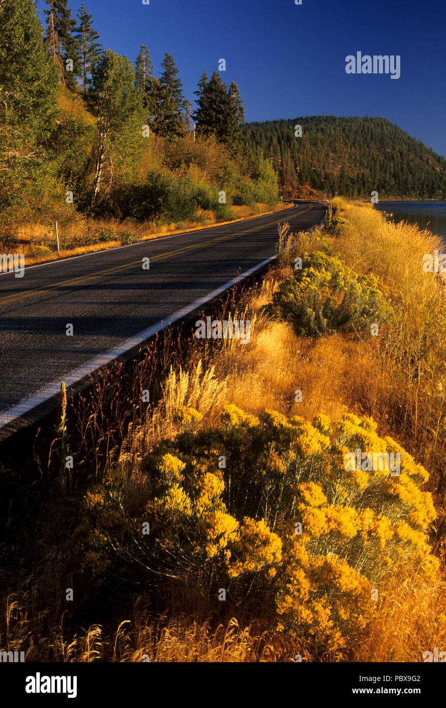 Volcanic scenic byway oregon hi-res stock photography and images - Alamy