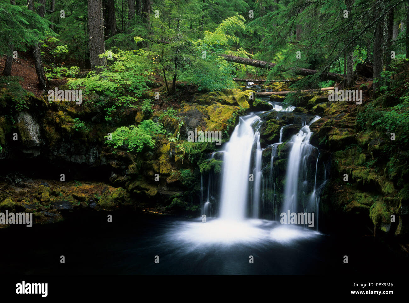 Whitehorse Falls, Rogue-Umpqua National Scenic Byway, Umpqua National ...