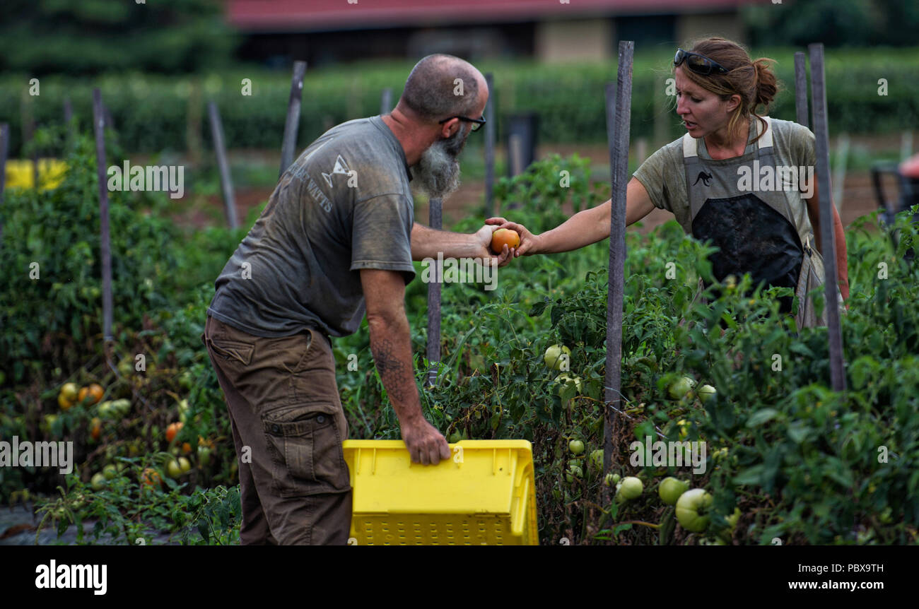 Kasey clark hi-res stock photography and images - Alamy