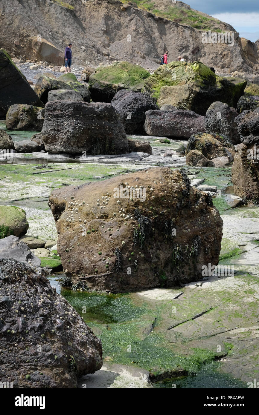 Relataion hi-res stock photography and images - Alamy