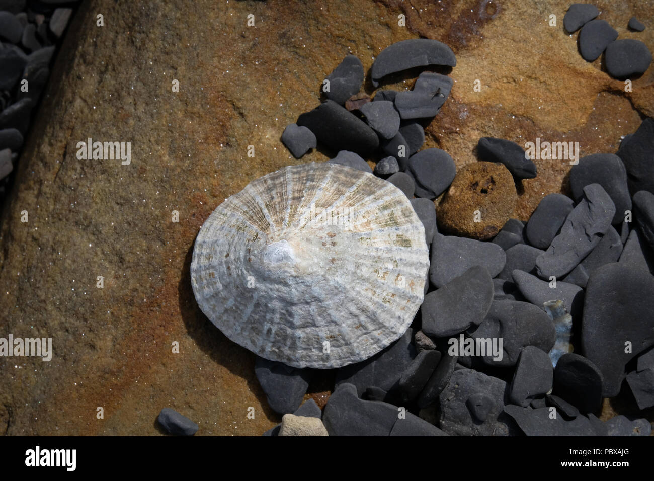 Relataion hi-res stock photography and images - Alamy