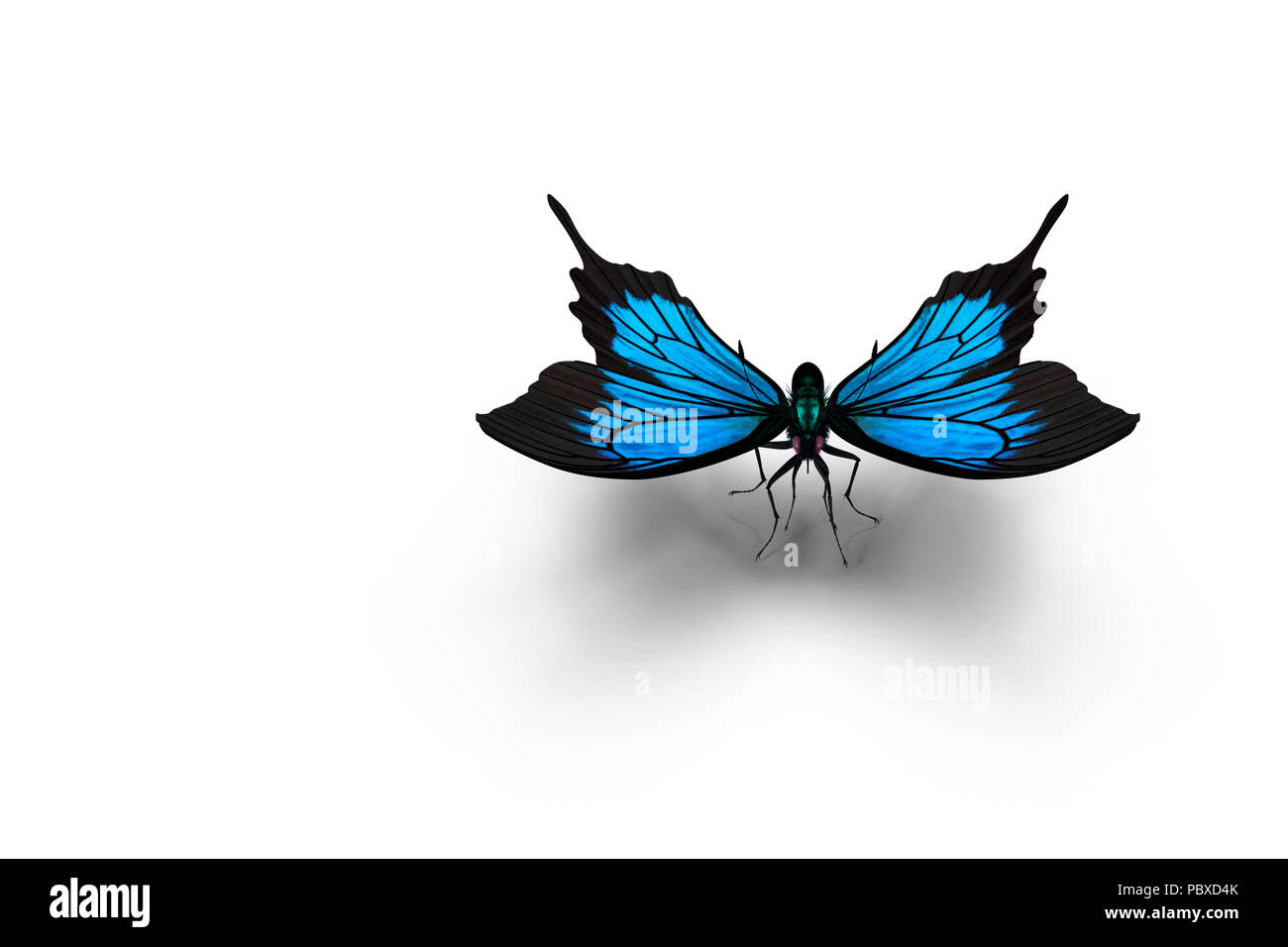 Body art butterfly Cut Out Stock Images & Pictures - Alamy