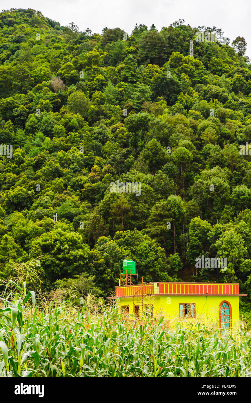 Beautiful green scenery of Nepal in Summer,Scene of Himalayas ...