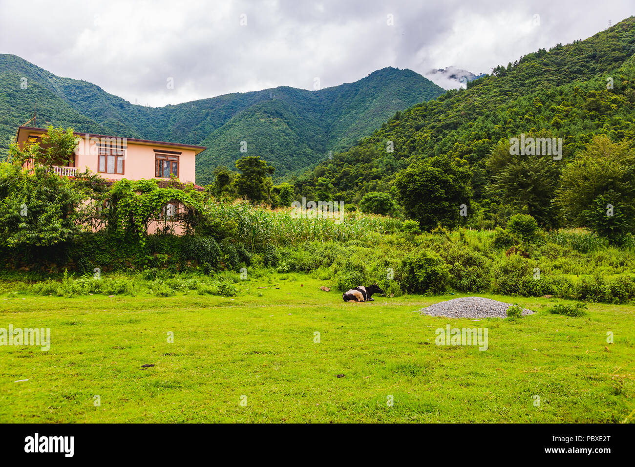 Beautiful green scenery of Nepal in Summer,Scene of Himalayas ...