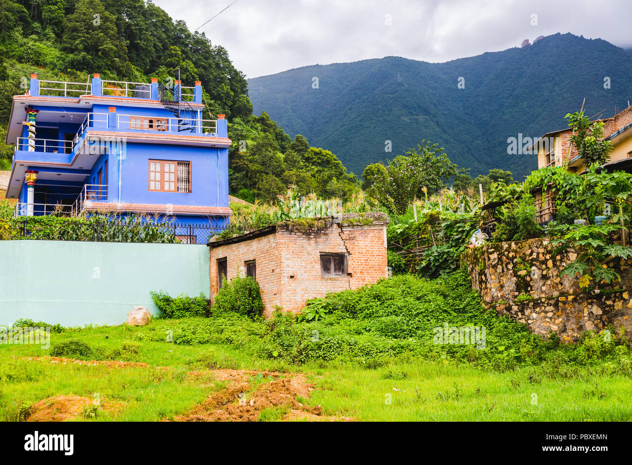 Beautiful green scenery of Nepal in Summer,Scene of Himalayas ...