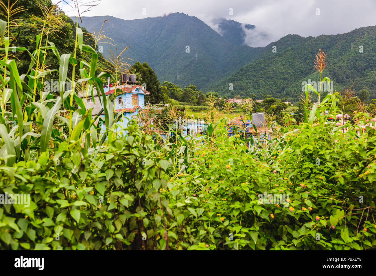 Beautiful green scenery of Nepal in Summer,Scene of Himalayas ...