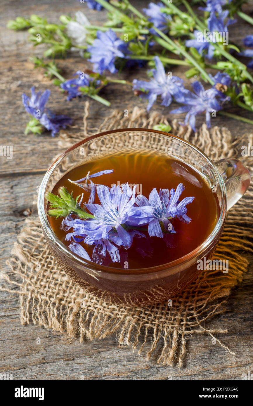 Chicory drink in Cup and flowers on rustic wooden background. Medicinal ...