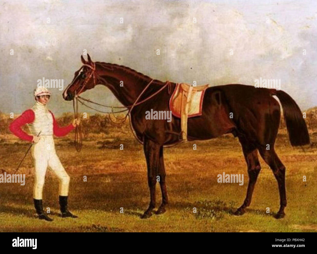 Patrick conolly hi-res stock photography and images - Alamy