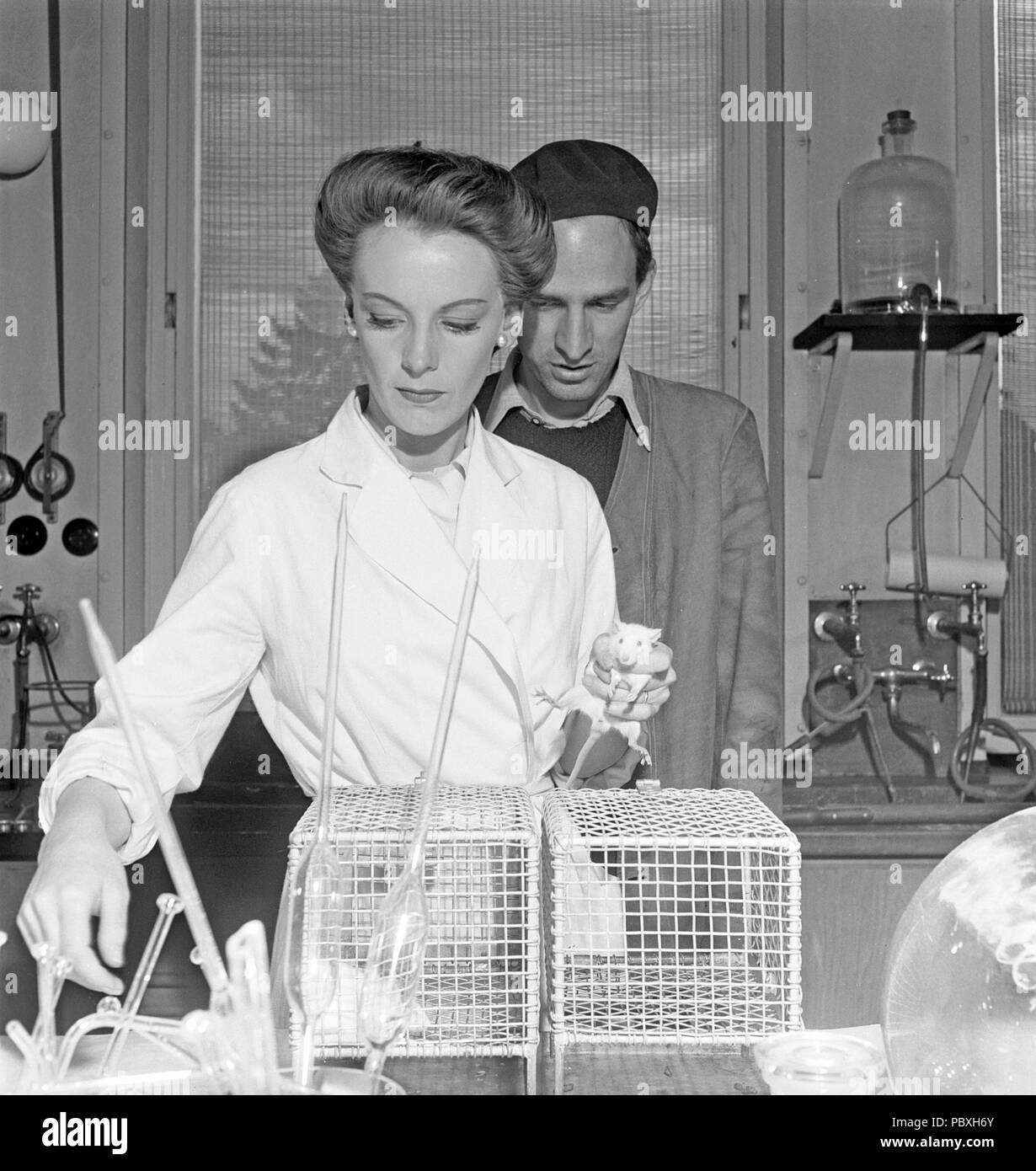 Signe vintage hi-res stock photography and images - Alamy