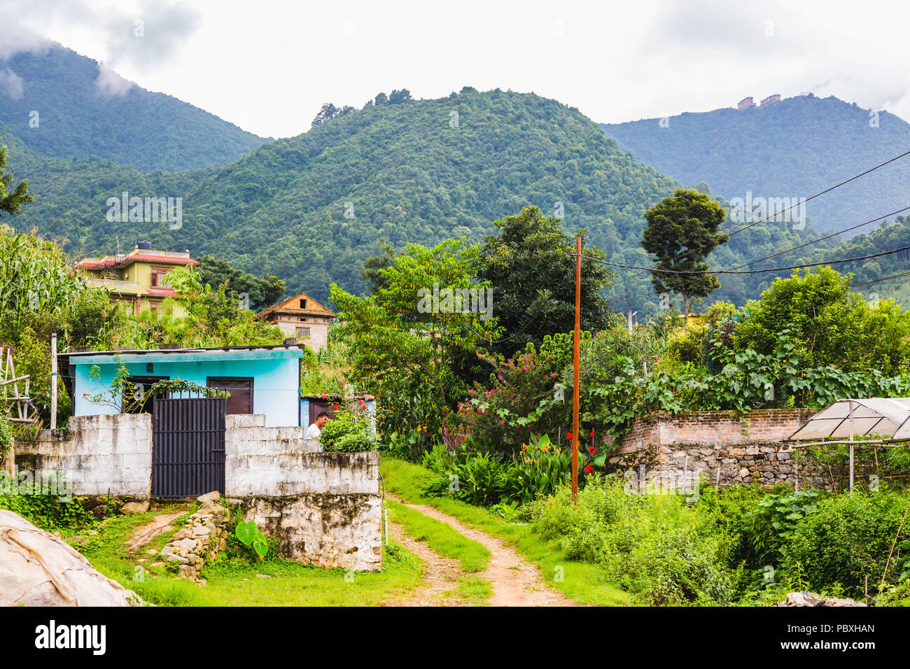 Beautiful green scenery of Nepal in Summer,Scene of Himalayas ...
