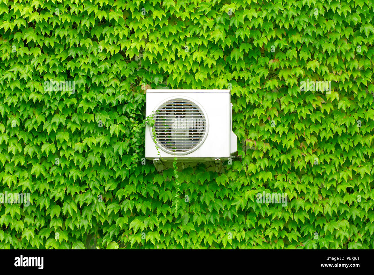 Air conditioner green wall hi-res stock photography and images - Alamy