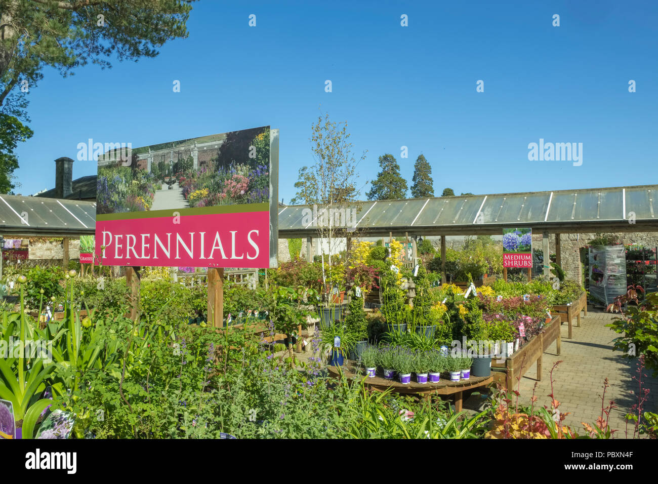 Plants sale sign garden hi-res stock photography and images - Alamy