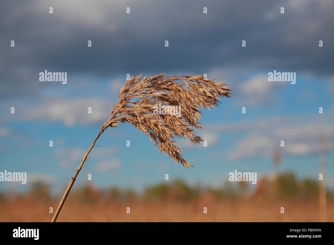 Up landscapes hi-res stock photography and images - Alamy