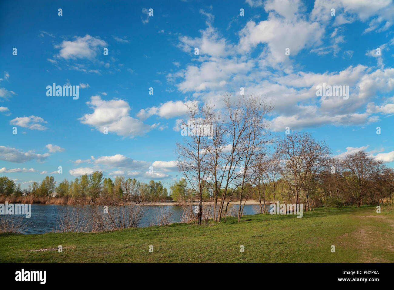 Spring natural landscape, trees on the river bank Stock Photo - Alamy