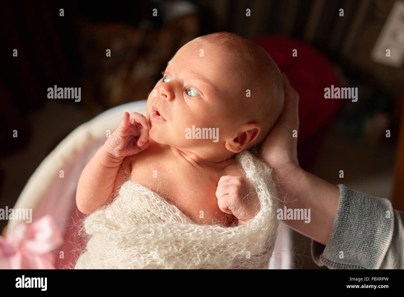 Surprised newborn little baby. Portrait of little child looks up Stock ...