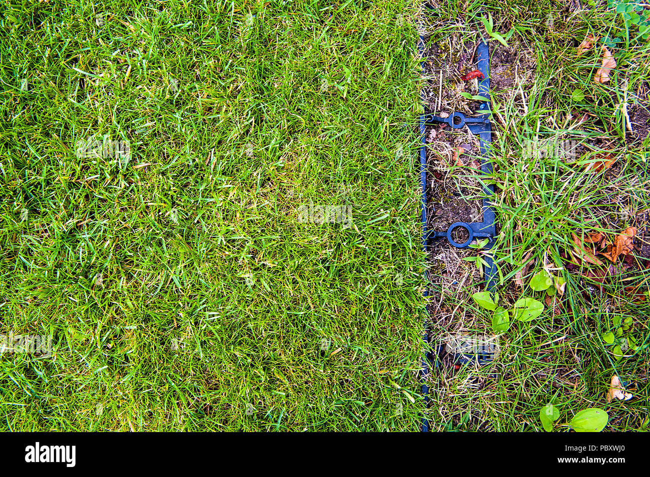 Border with weeds hi-res stock photography and images - Alamy