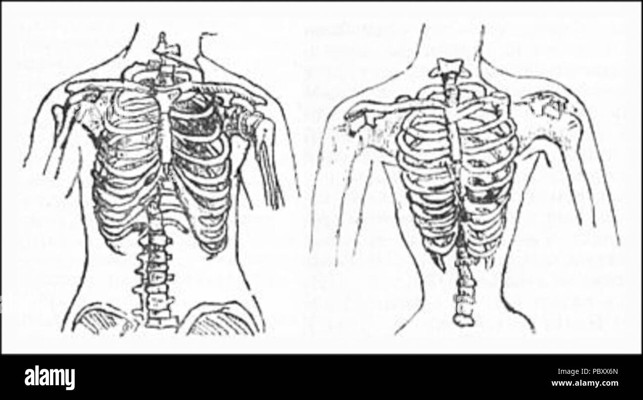 Female dress fashion Black and White Stock Photos & Images - Alamy