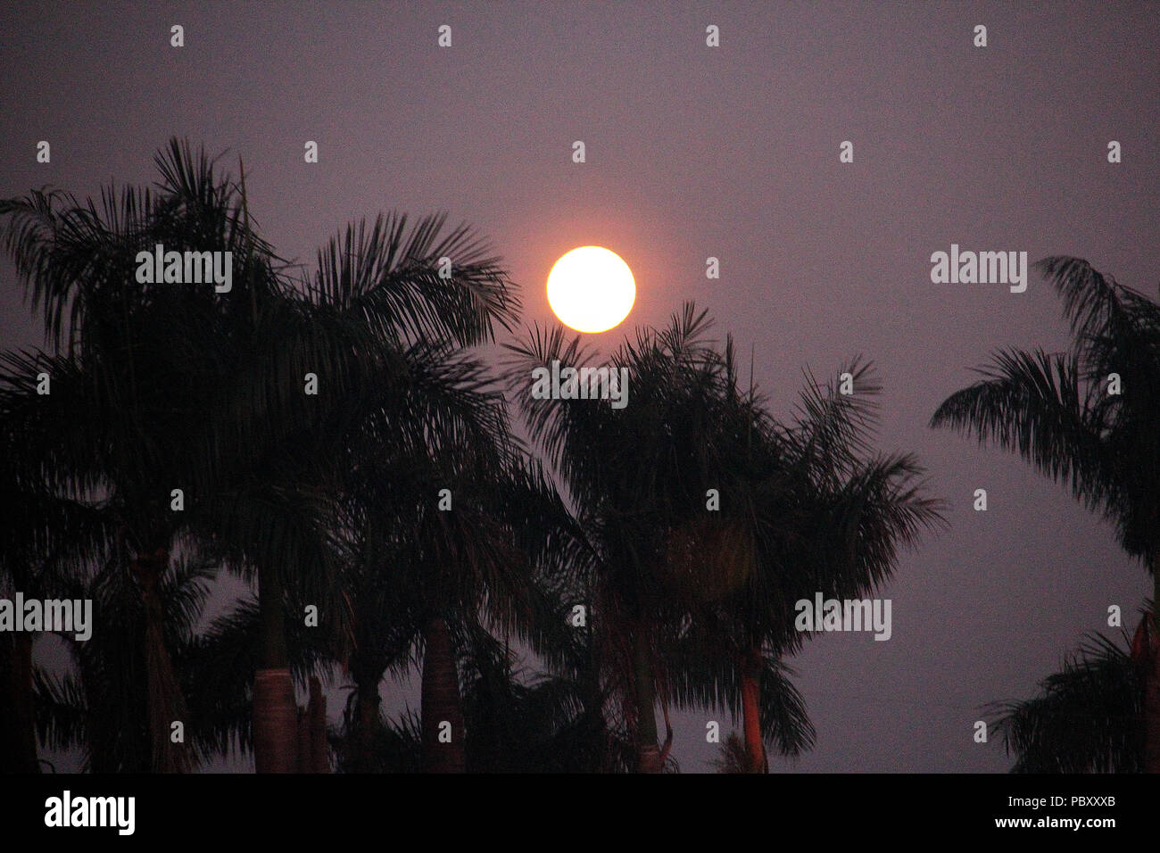 Moon in morning hi-res stock photography and images - Alamy