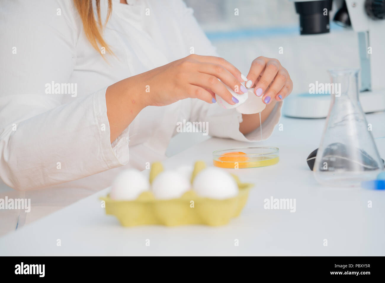 Eggs in quality inspection lab Stock Photo - Alamy