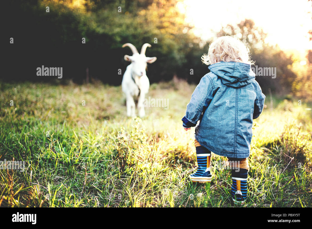 Male wellies hi-res stock photography and images - Alamy