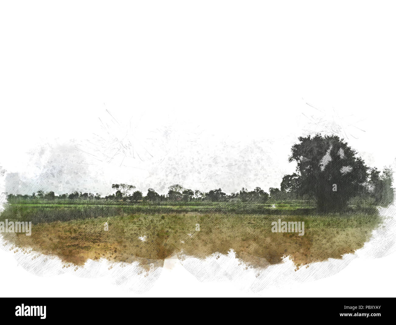 Abstract tree and field landscape on watercolor illustration painting ...