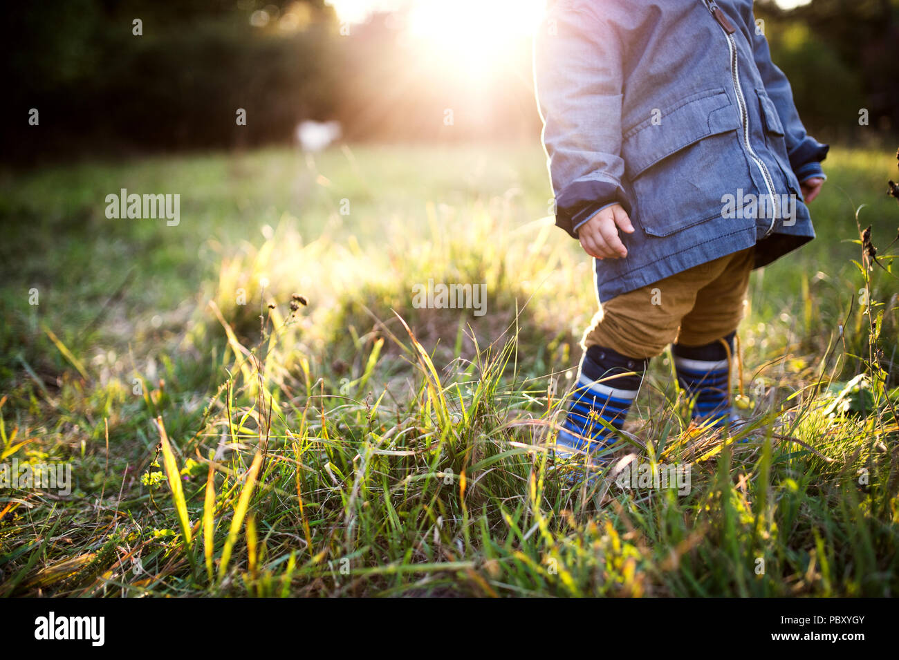 Back view little boy standing hi-res stock photography and images - Alamy