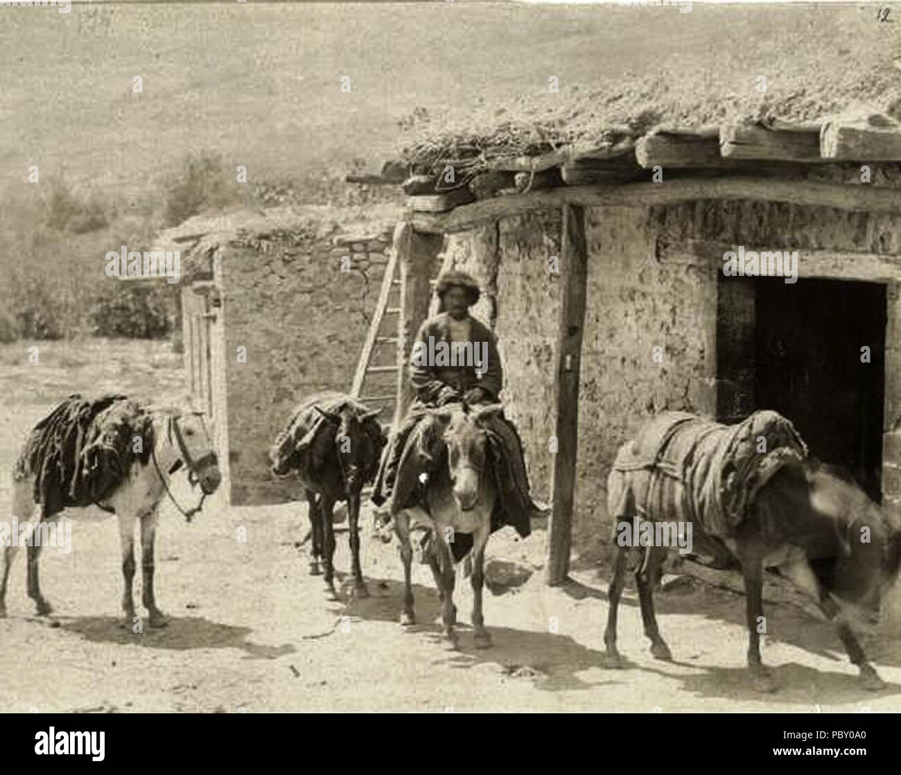 Dwelling house and stable hi-res stock photography and images - Alamy