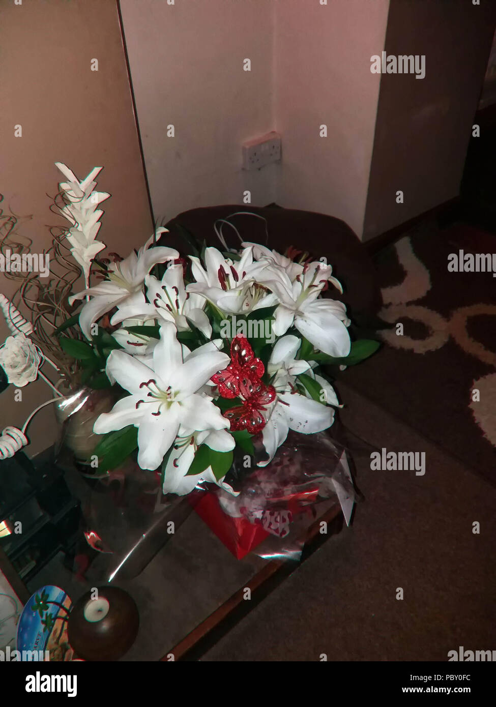 Displayed flora hi-res stock photography and images - Alamy