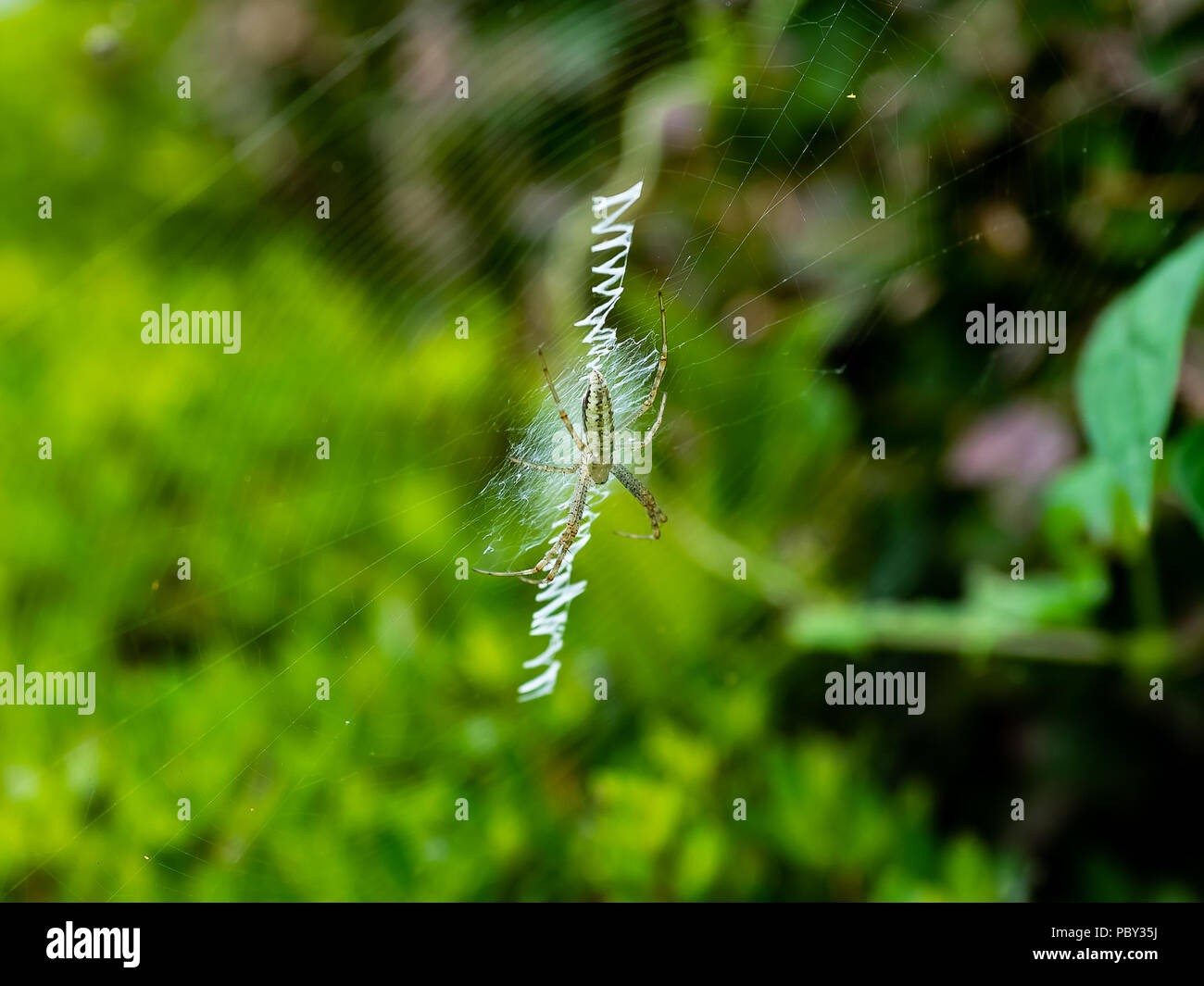 Japanese silk weaver hi-res stock photography and images - Alamy