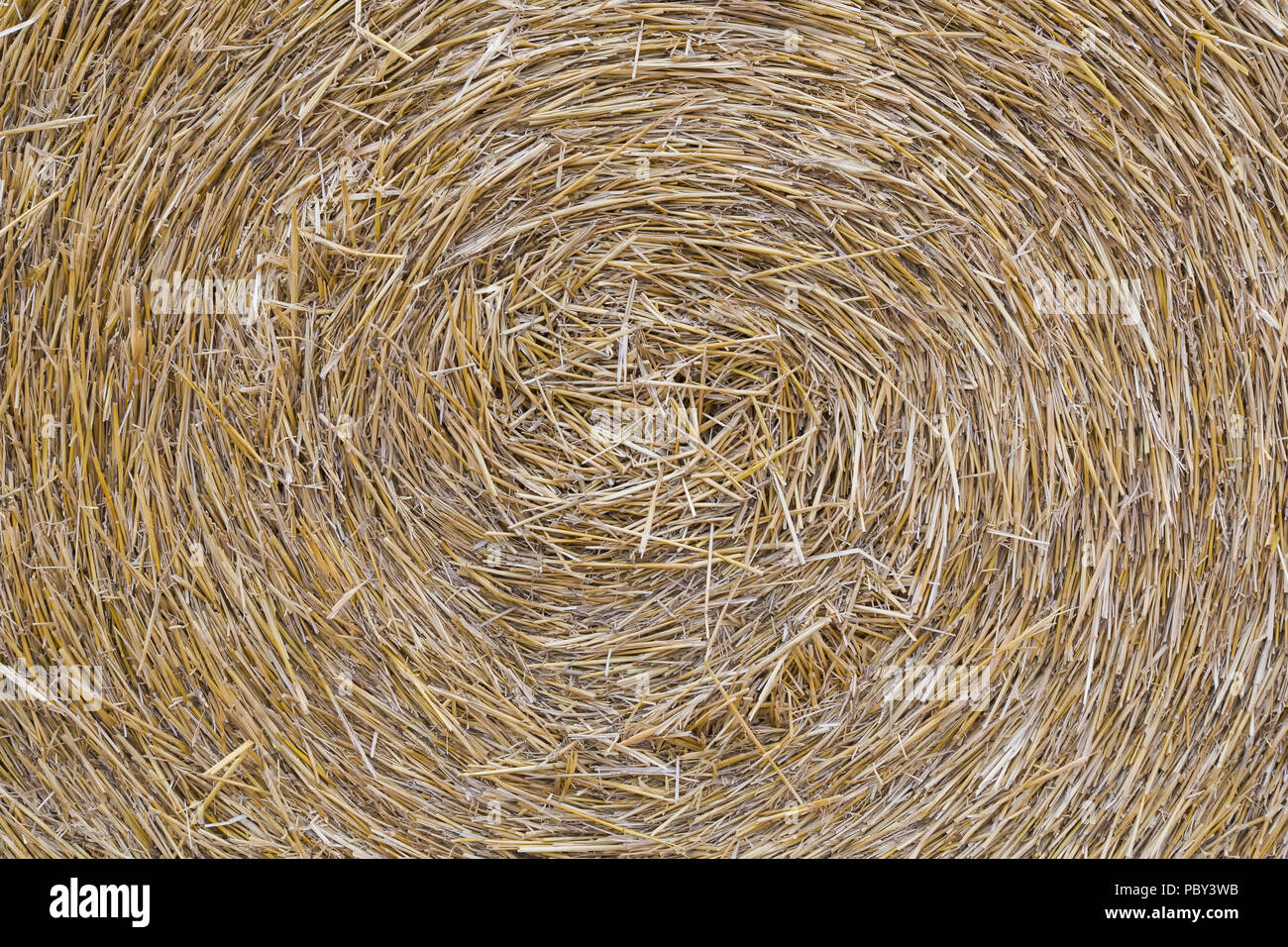 Structure of a straw bale taken at close range Stock Photo - Alamy