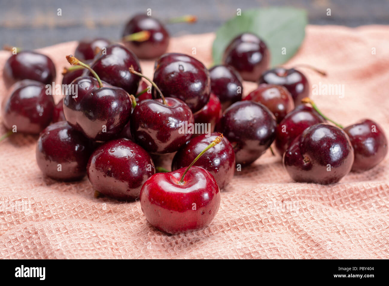 Giant fresh ripe black cherries, new harvest, ready to eat close up ...