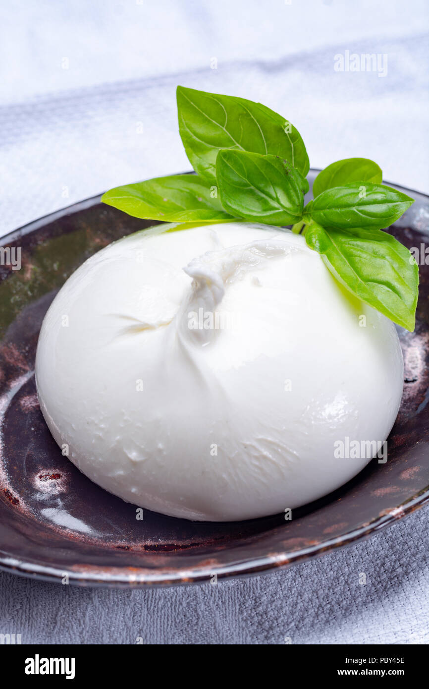 Fresh soft white burrata, ball buttery cheese, made from a mix of ...