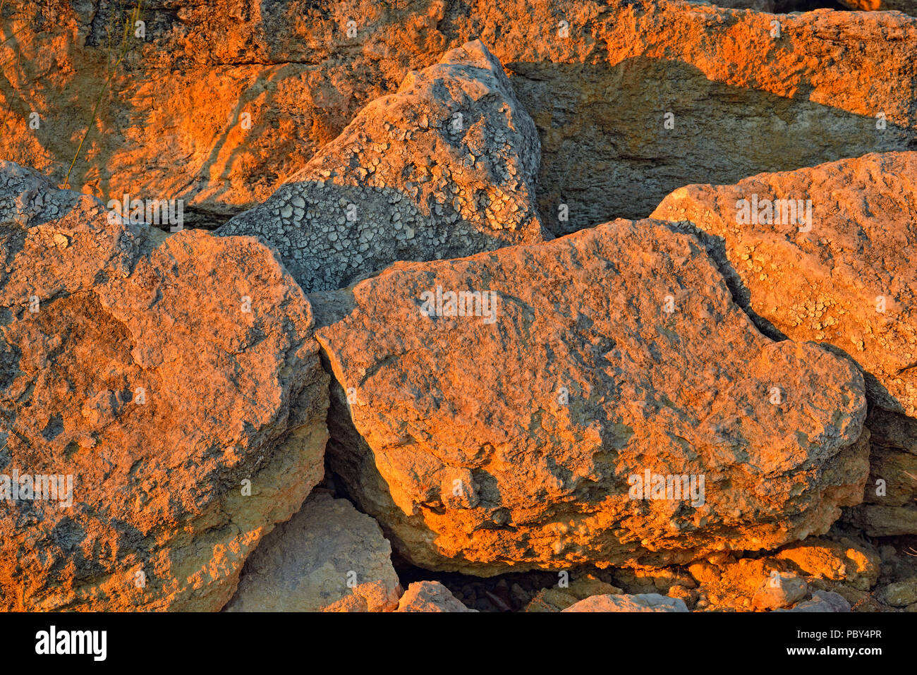 Exposed limestone rocks with hardy plant community along shore of Lake ...
