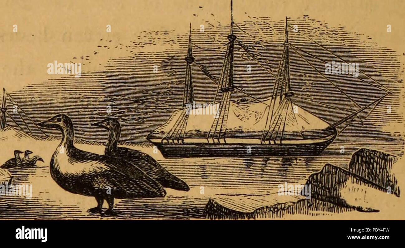 Maritime heirloom hi-res stock photography and images - Alamy