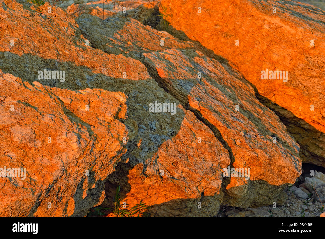 Exposed limestone rocks with hardy plant community along shore of Lake ...