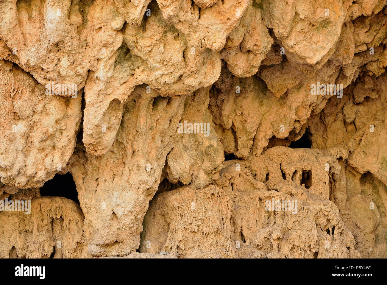 Texas Karst Topography High Resolution Stock Photography and Images - Alamy