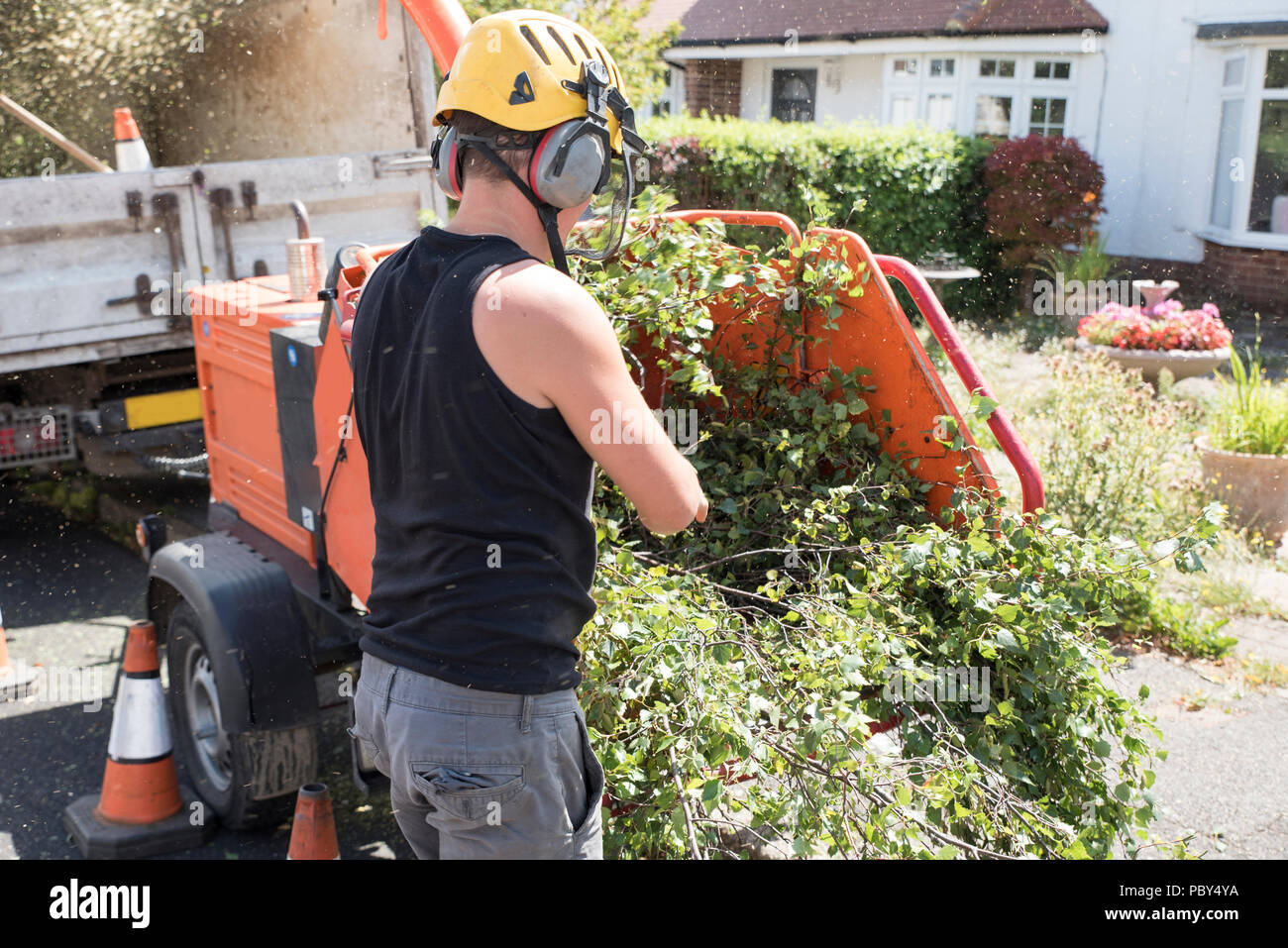 Feeding branches into a wood chipping machine Stock Photo - Alamy