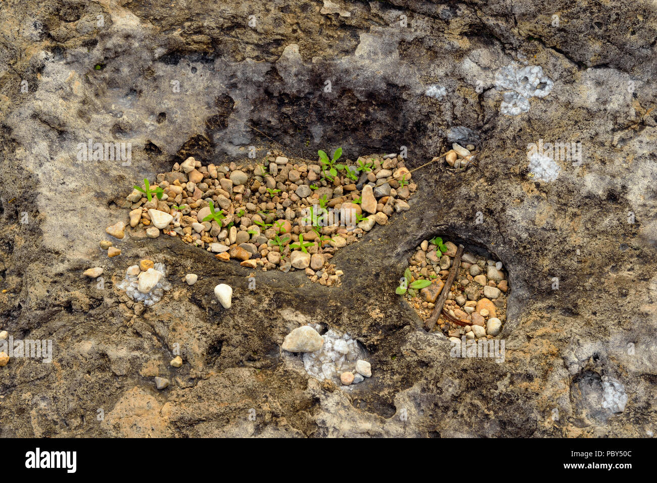 Karst outcrops hi-res stock photography and images - Alamy